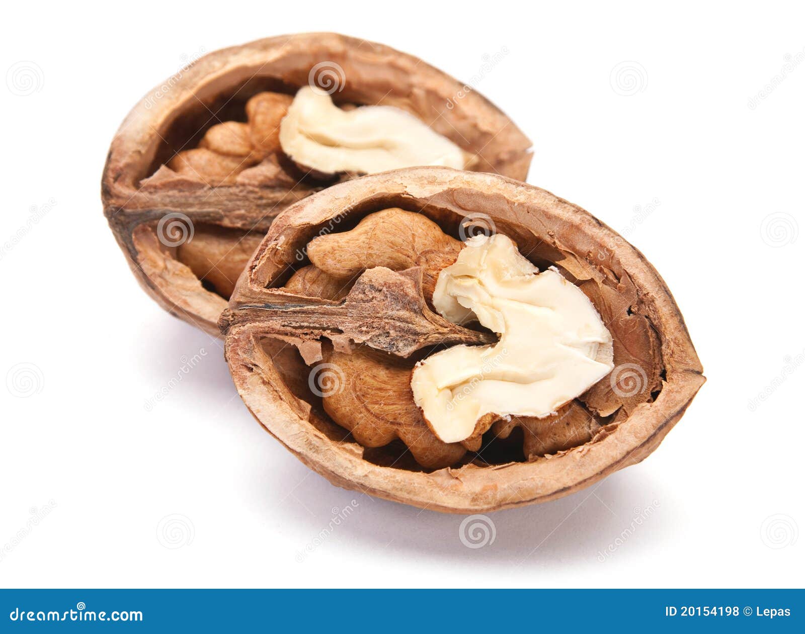 Walnut brown stock photo. Image of closeup, shell, nutshell - 20154198