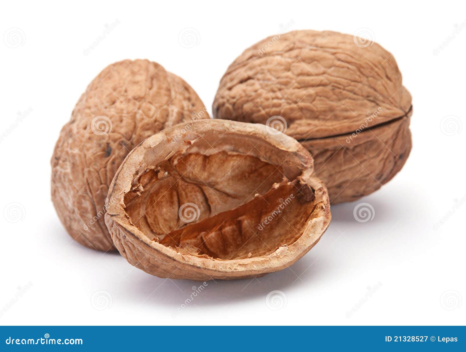 Walnut brown stock image. Image of shell, white, brown - 21328527