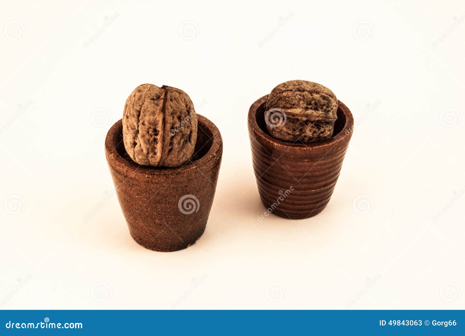 Walnut stock image. Image of walnut, clay, brown, background - 49843063