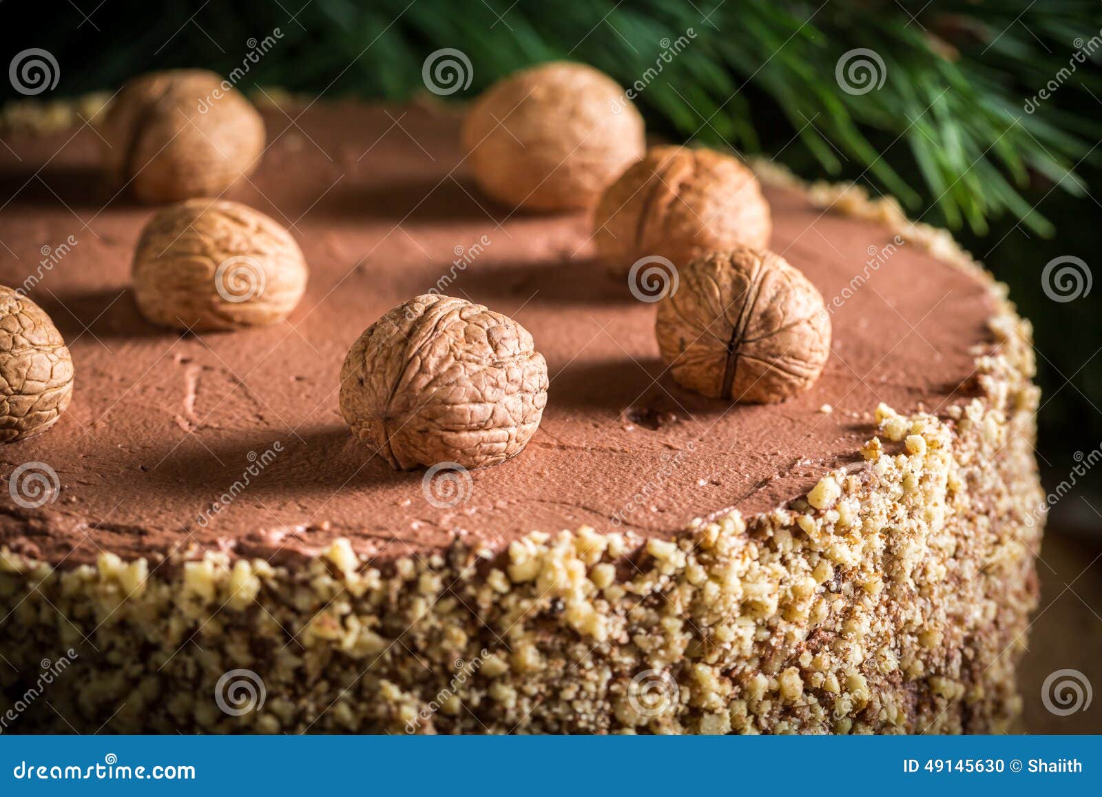 Walnut Cake Filled with Nuts Stock Photo - Image of cocoa, bakery: 49145630
