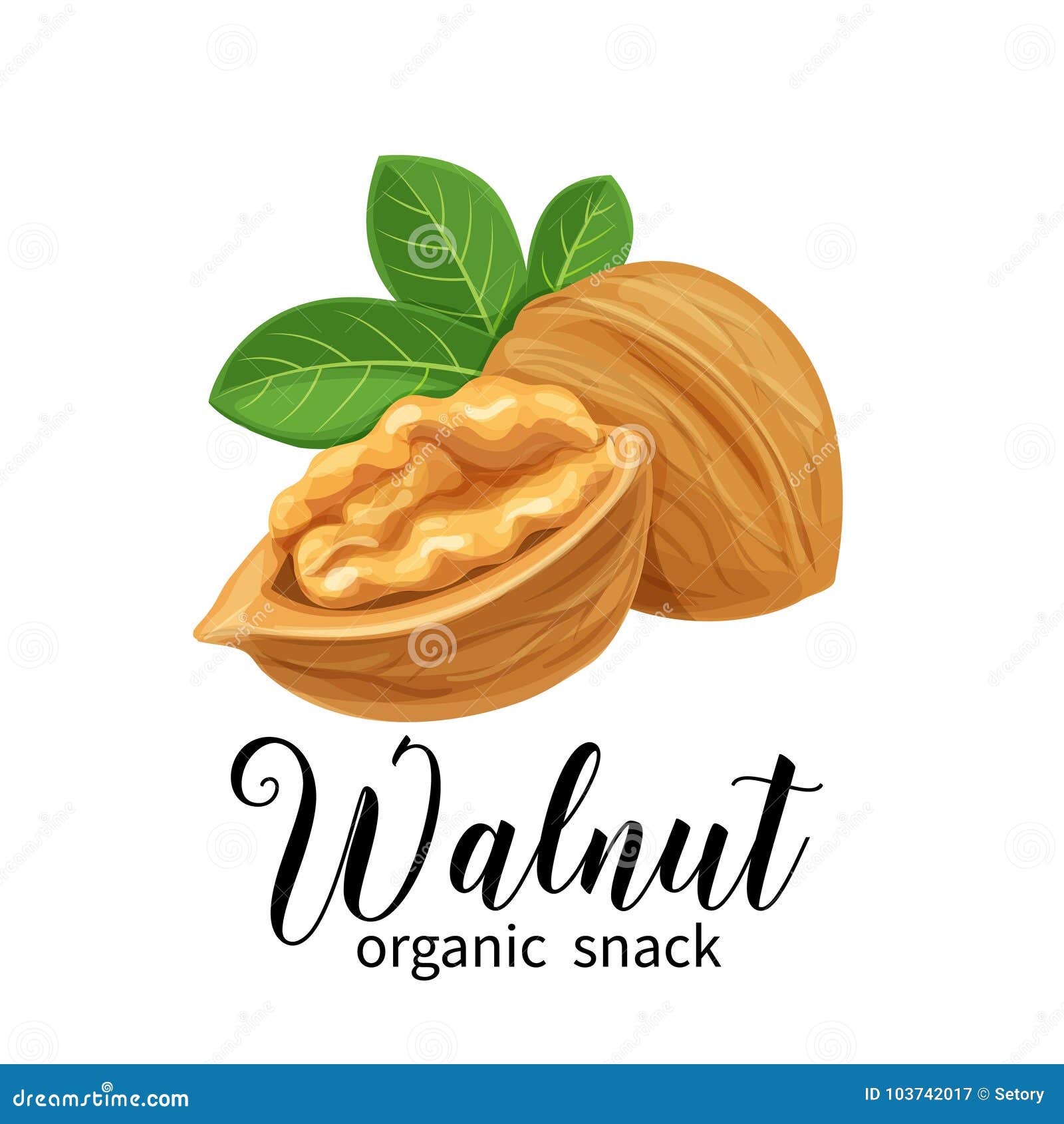 Walnut Cartoons, Illustrations & Vector Stock Images - 53308 Pictures to download from ...