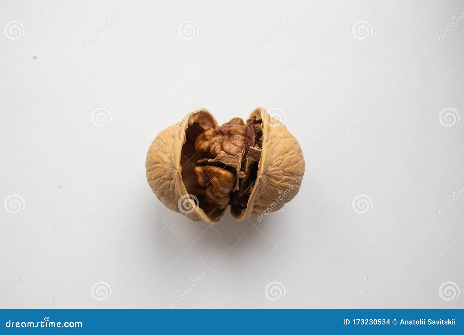 Walnut Close - Up Isolated on a White Background Stock Photo - Image of ...