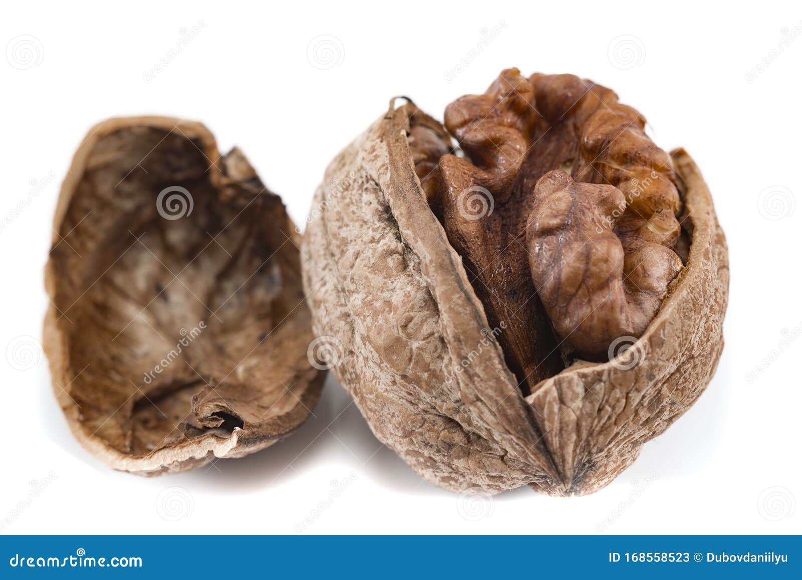 Walnut close-up macro stock image. Image of agriculture - 168558523
