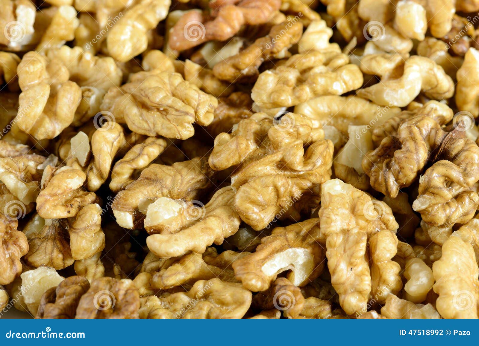 Walnut stock photo. Image of fruit, snack, dried, focus - 47518992