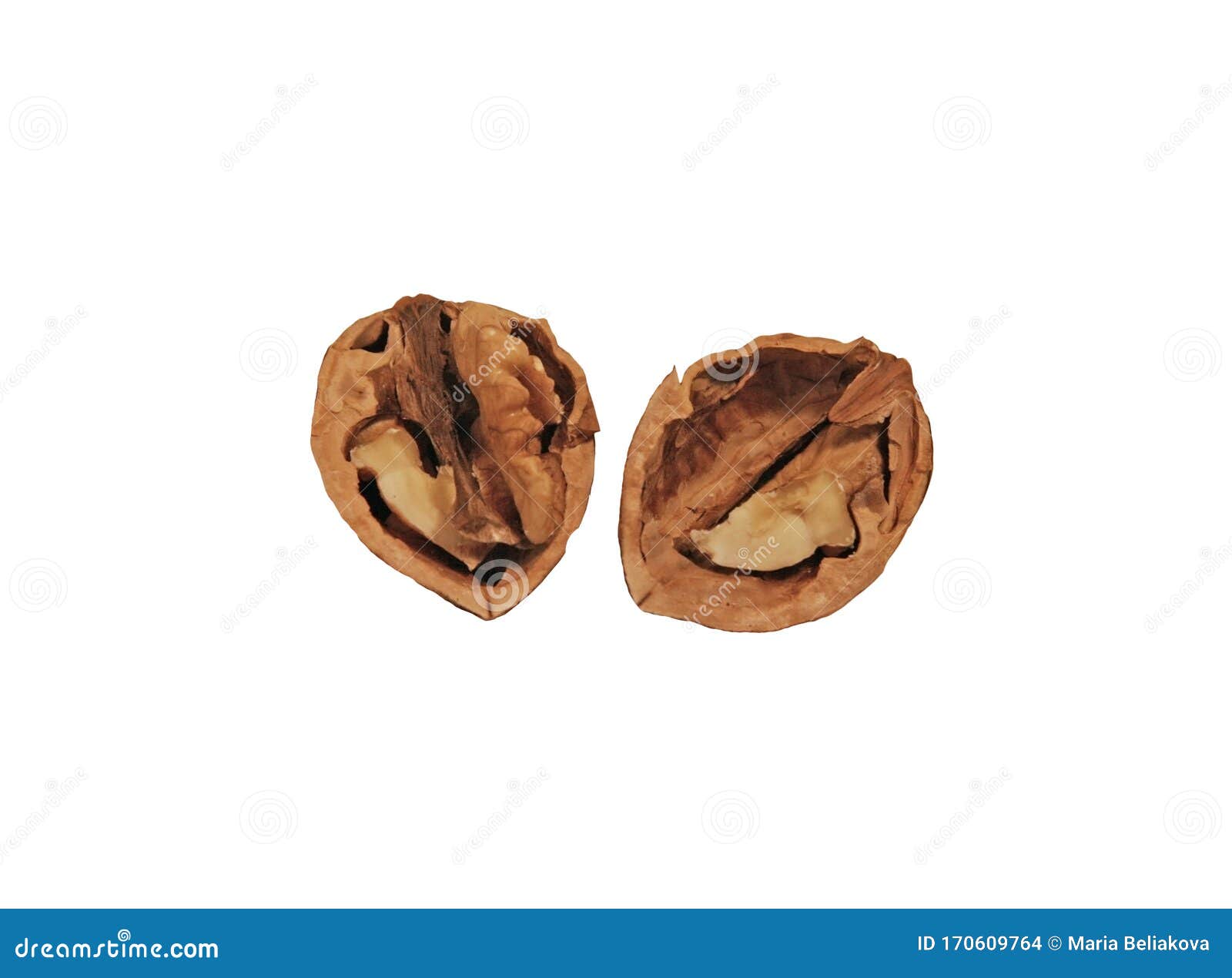One Walnut in an Open Form Lies on a White Background. Closely Visible ...