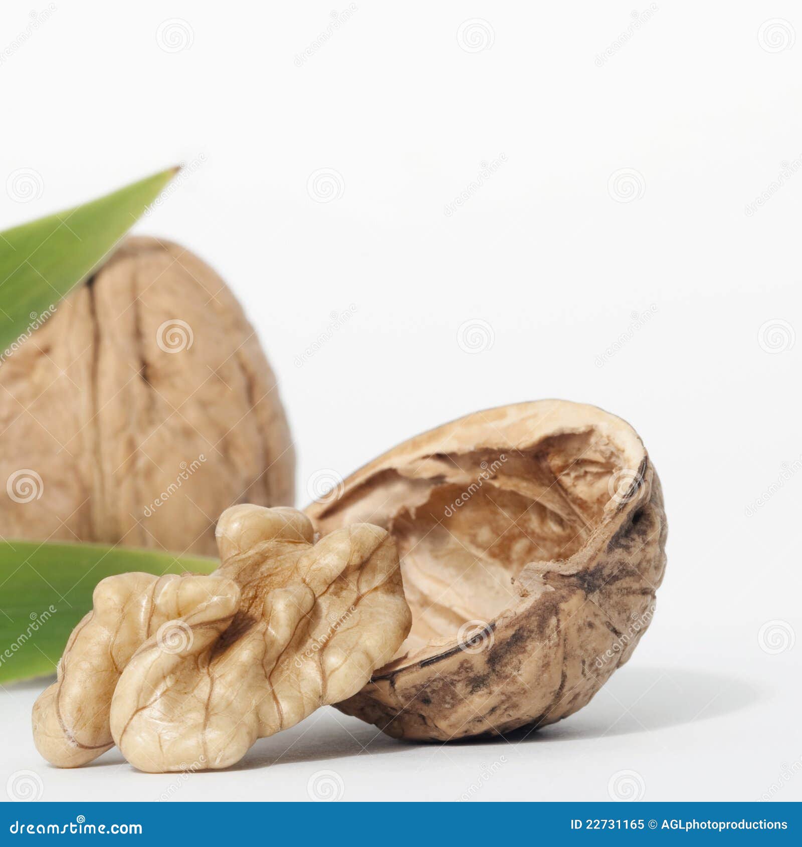 Walnut closeup stock image. Image of hard, healthy, natural - 22731165