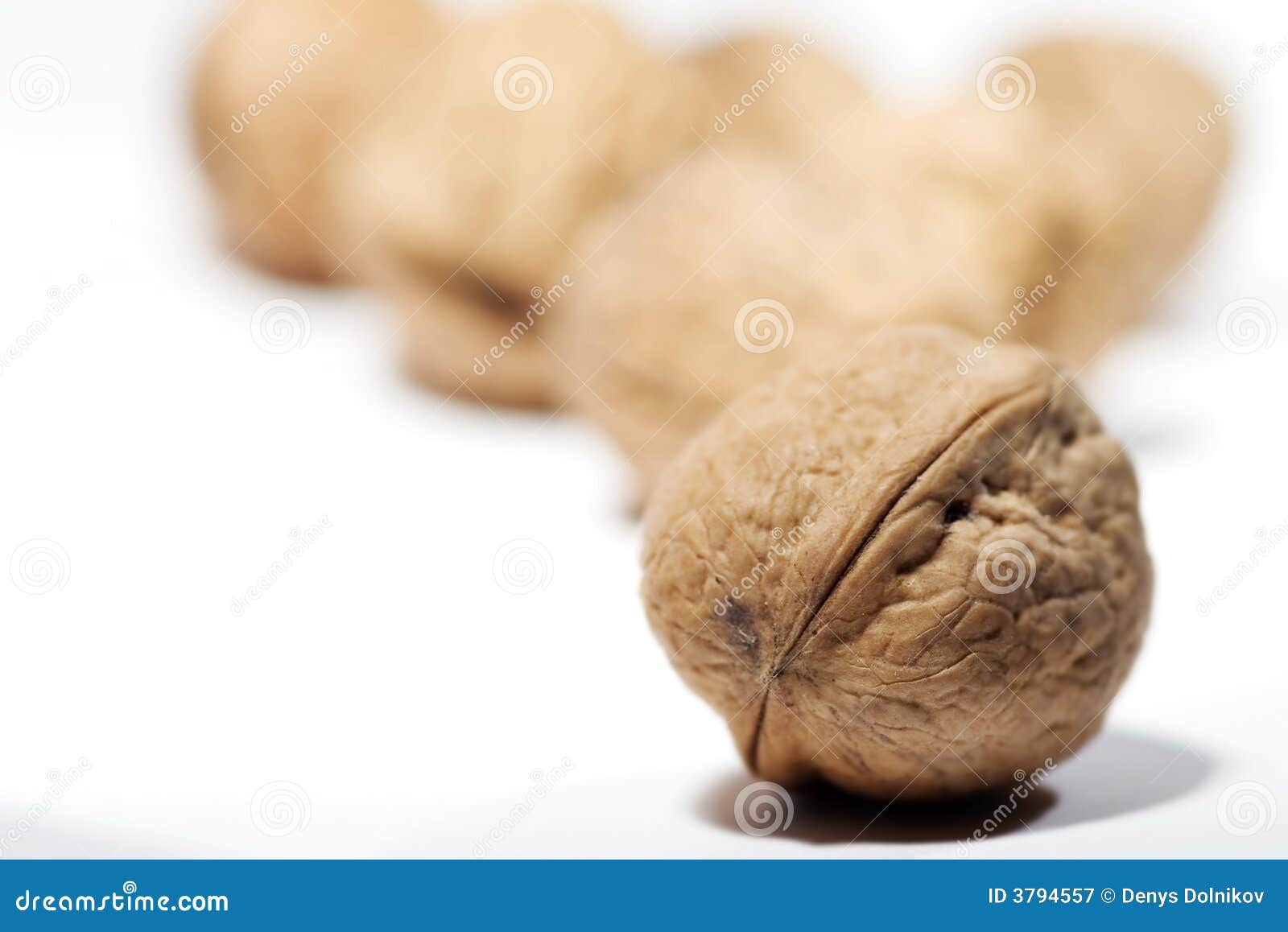 Walnut in closeup stock image. Image of flavor, party - 3794557