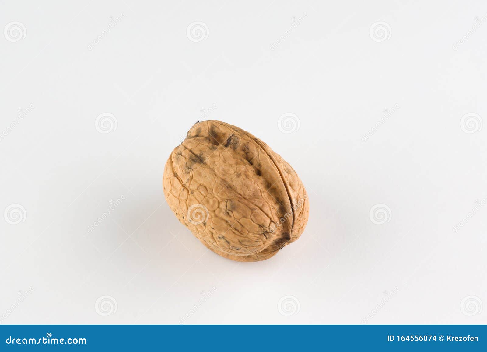 Walnut on white background stock photo. Image of shell - 164556074