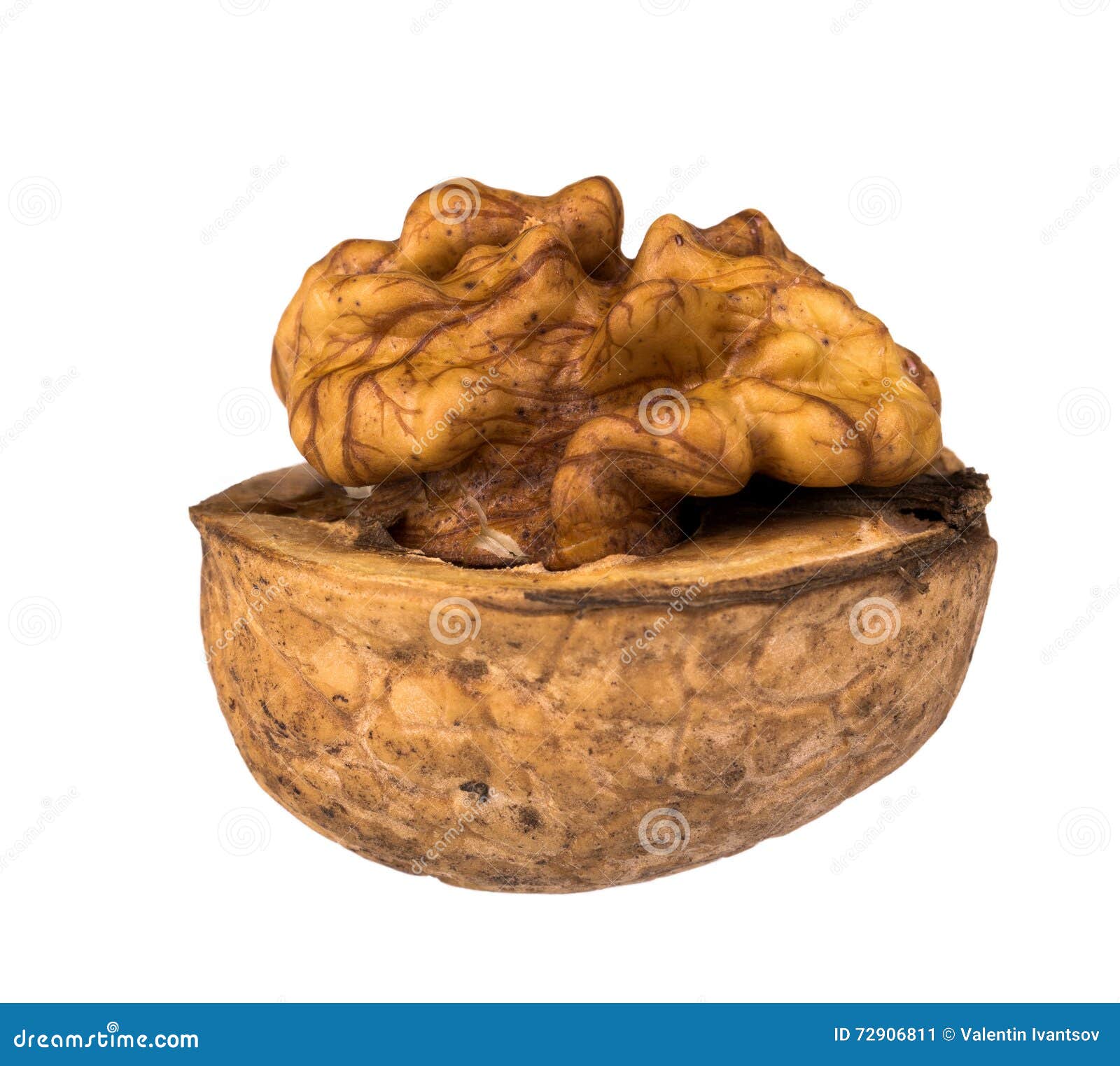 Walnut closeup stock image. Image of walnut, white, nutritious - 72906811