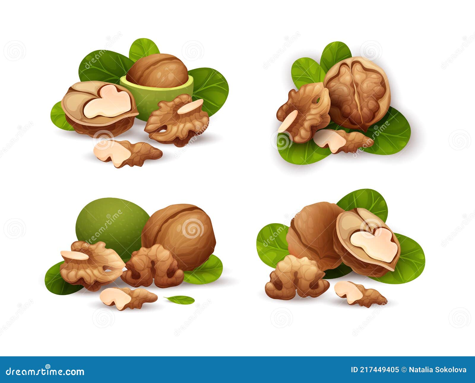 Walnut Compositions Set, for Labels and Stickers Stock Vector ...