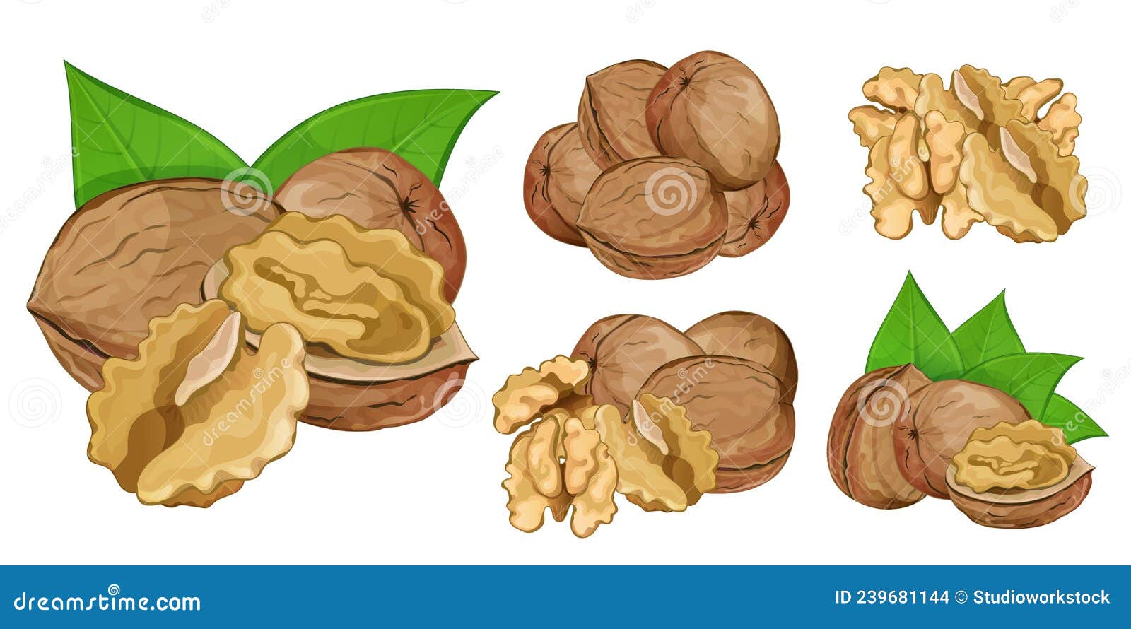 Walnut, Cracked Walnut, Walnuts Kernels, Logo Design. Nut, Food, Plant ...