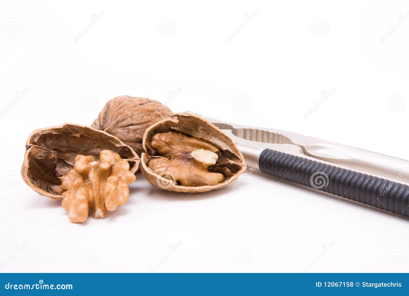 Walnut Cracker stock photo. Image of cracked, white, macro - 12067158