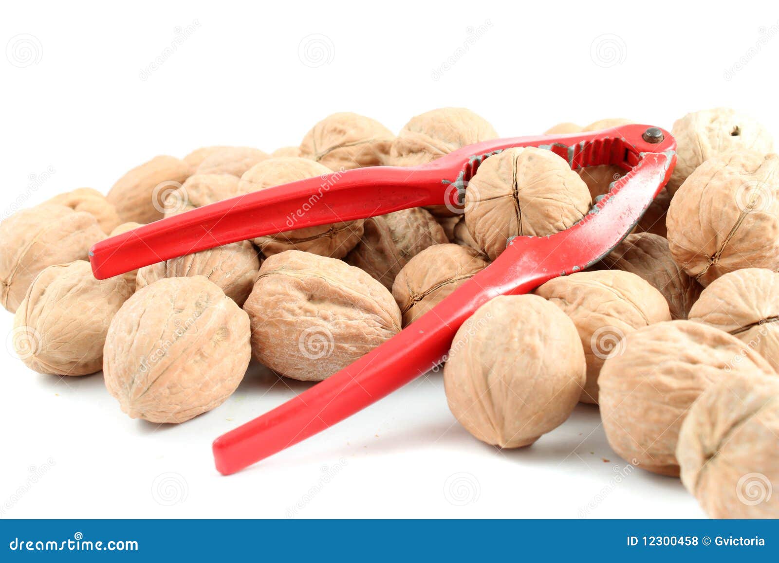 Walnut cracker stock photo. Image of food, healthy, cracker - 12300458
