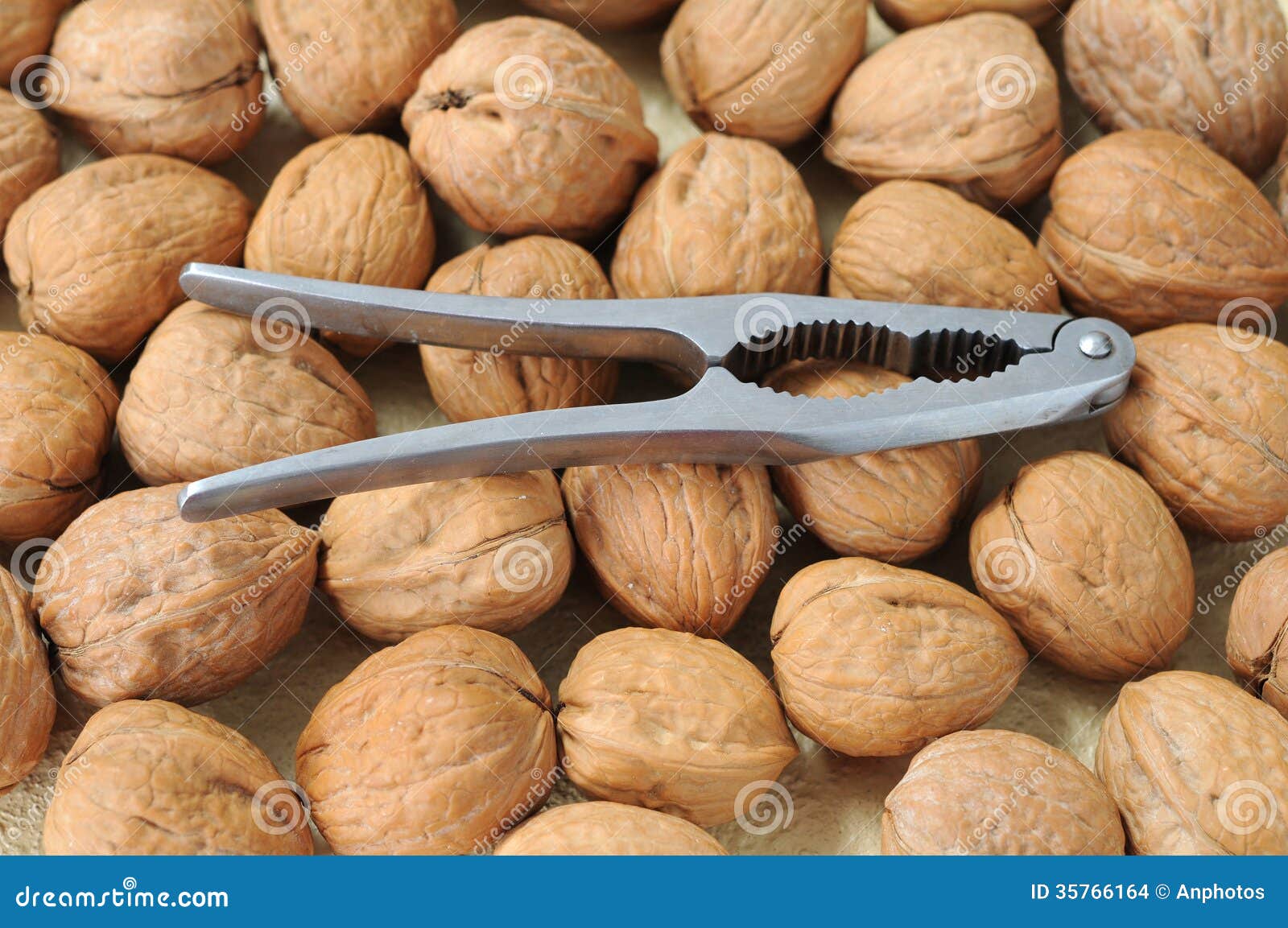 Walnut and cracker stock photo. Image of seed, bowl, peeled - 35766164