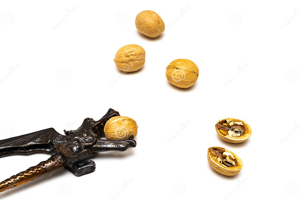 Walnut Cracker Photographed Against a White Background Stock Photo ...
