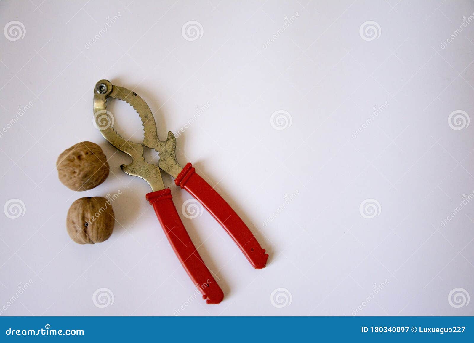 Walnut creativity stock image. Image of green, black - 180340097