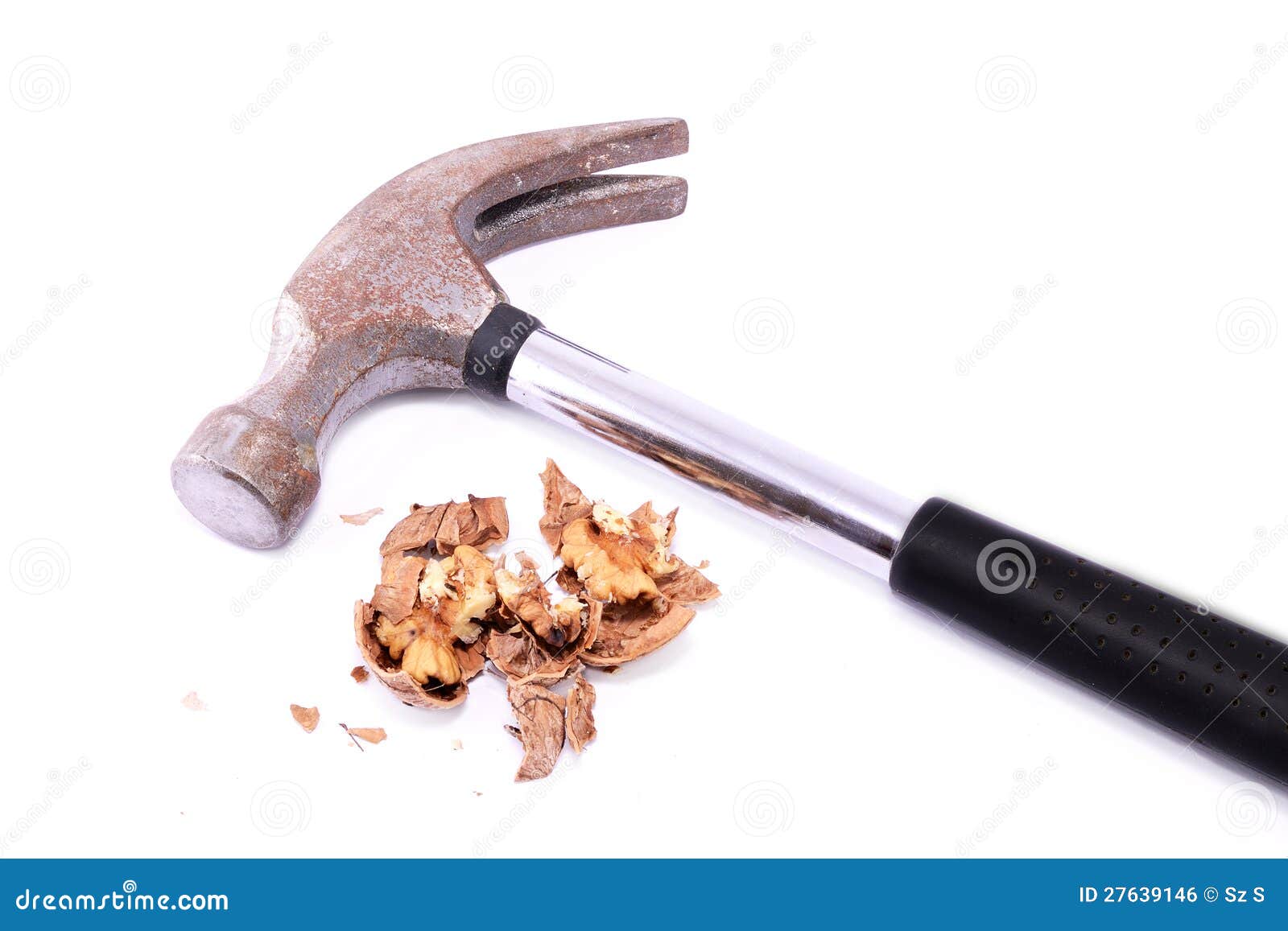 Walnut crushed by a hammer stock photo. Image of shell - 27639146