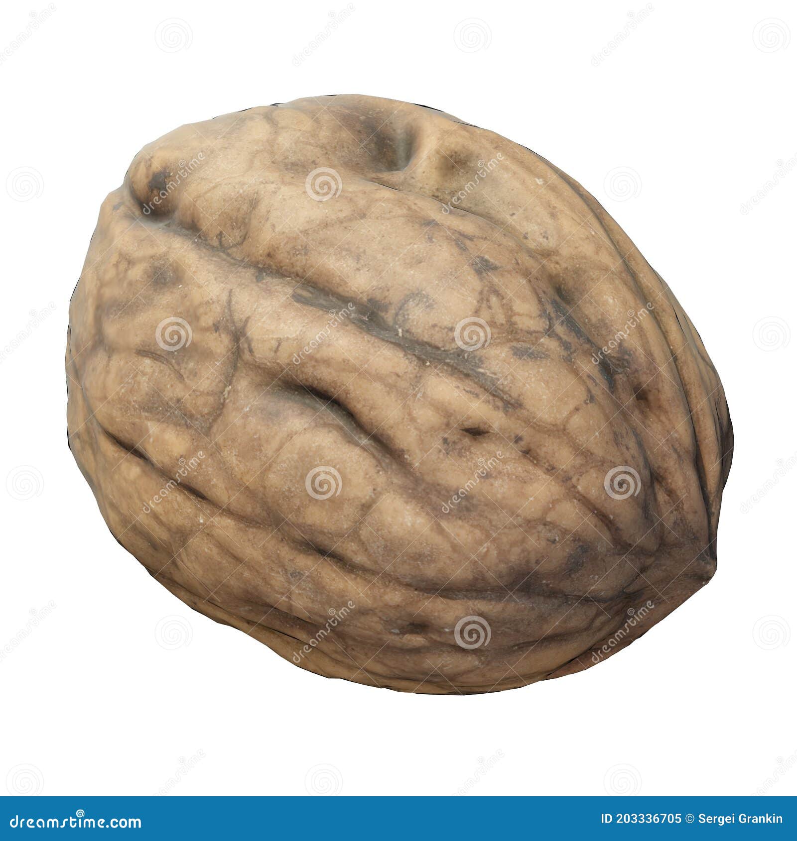 Walnut 3d Illustration Isolated on the White Background Stock ...