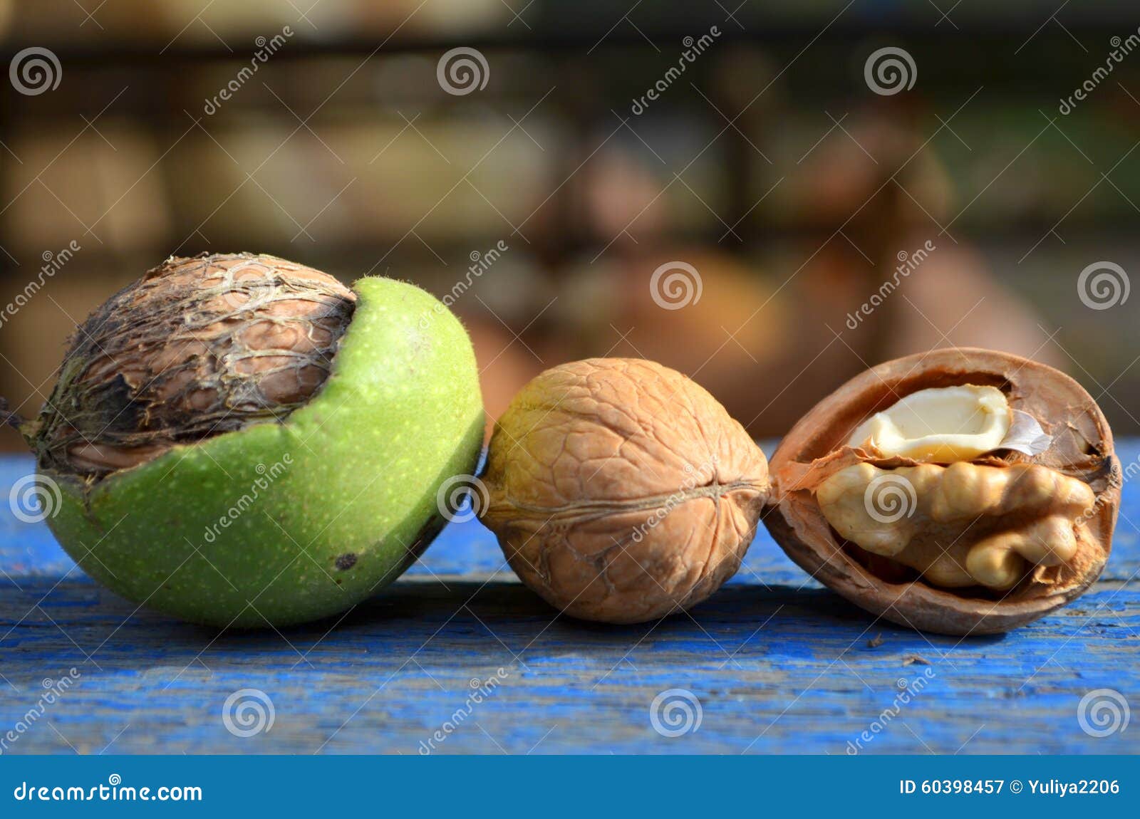 Walnut stock image. Image of berries, fruit, lily, blue - 60398457