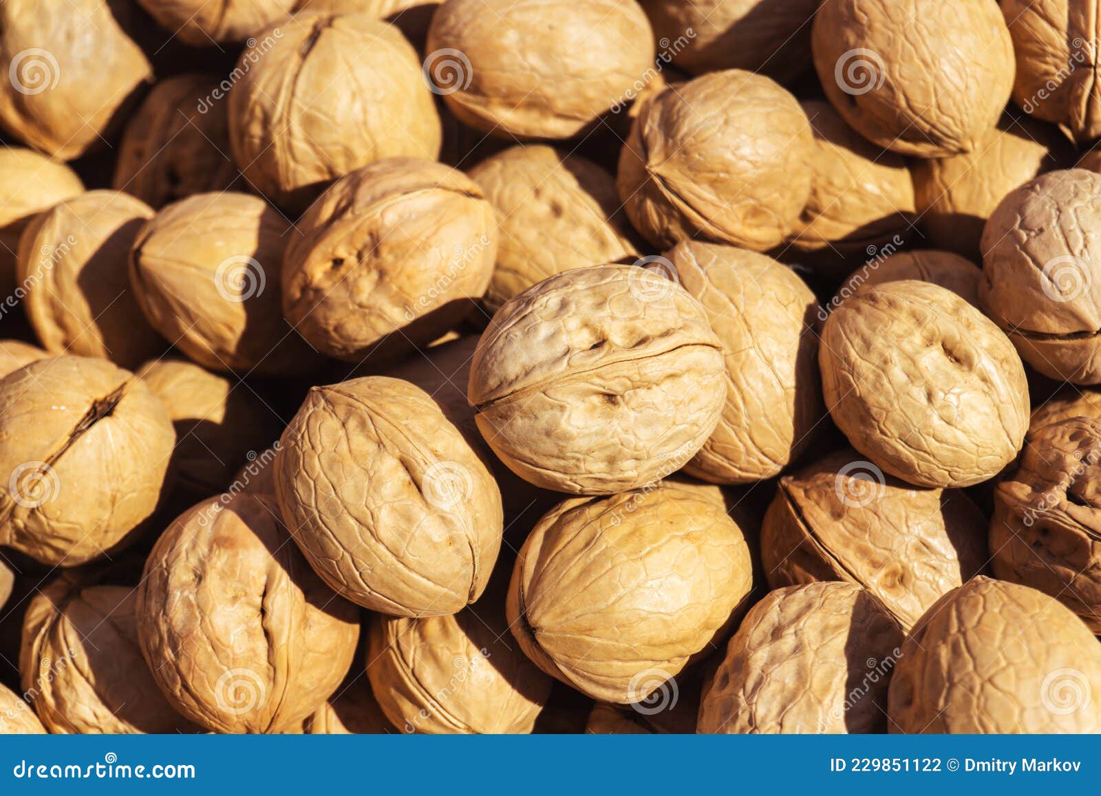 Walnut Fruits in Shell. View from Above Stock Photo - Image of shell ...