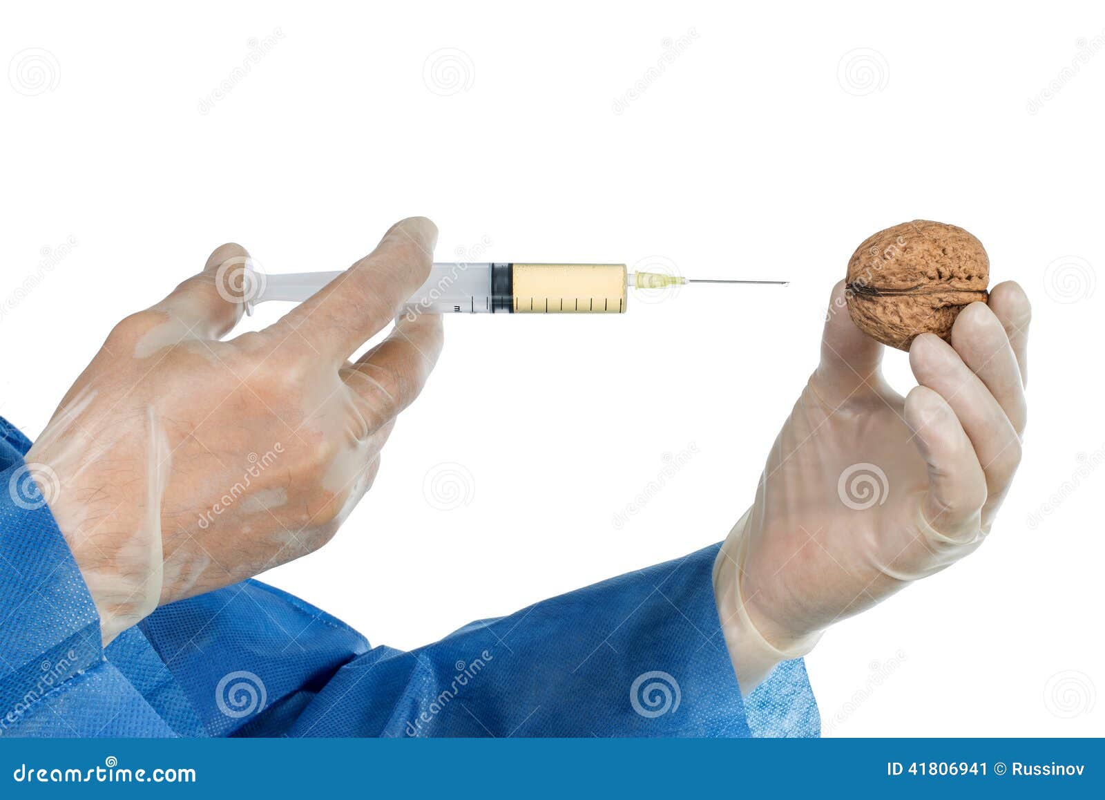 Walnut GMO. Walnut and Syringe Stock Image - Image of injecting ...