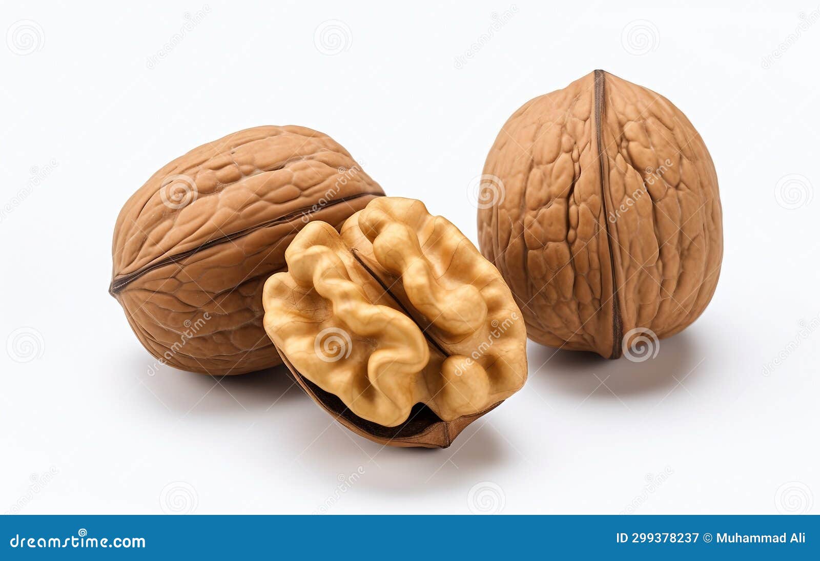 Walnut Goodness on White Background Stock Illustration - Illustration ...