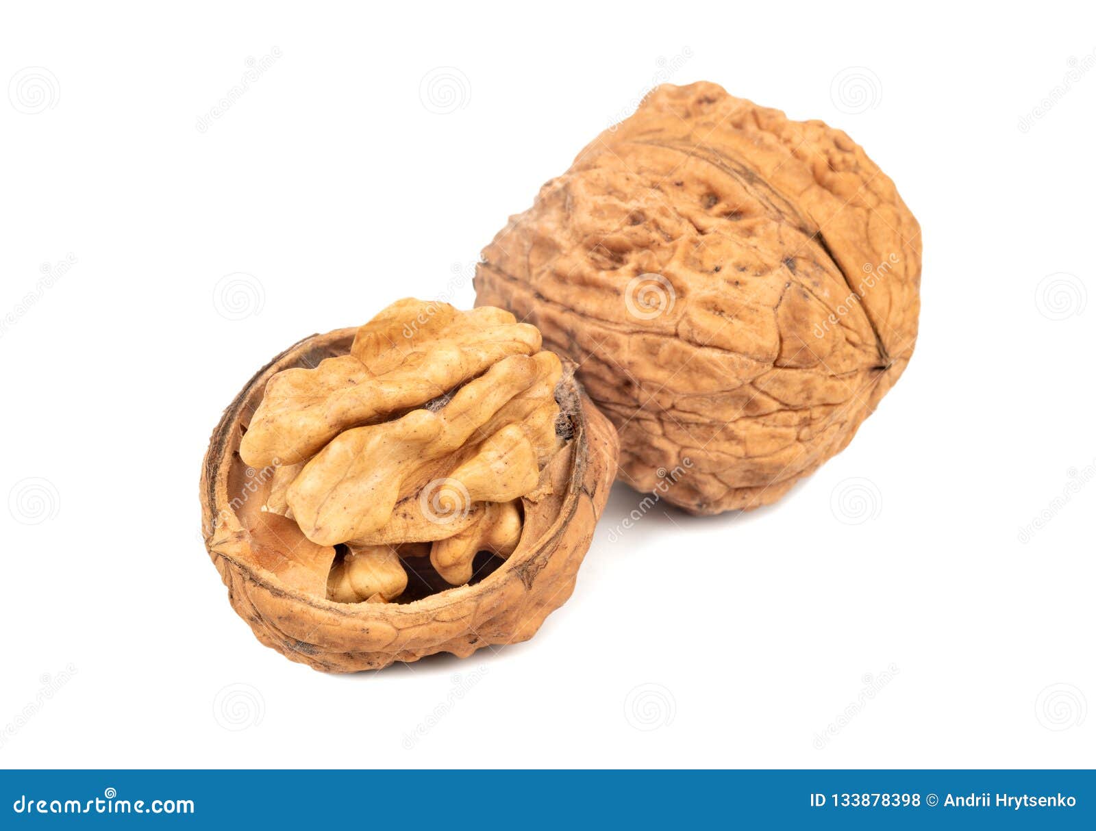 Walnut with half stock photo. Image of brain, ingredient - 133878398