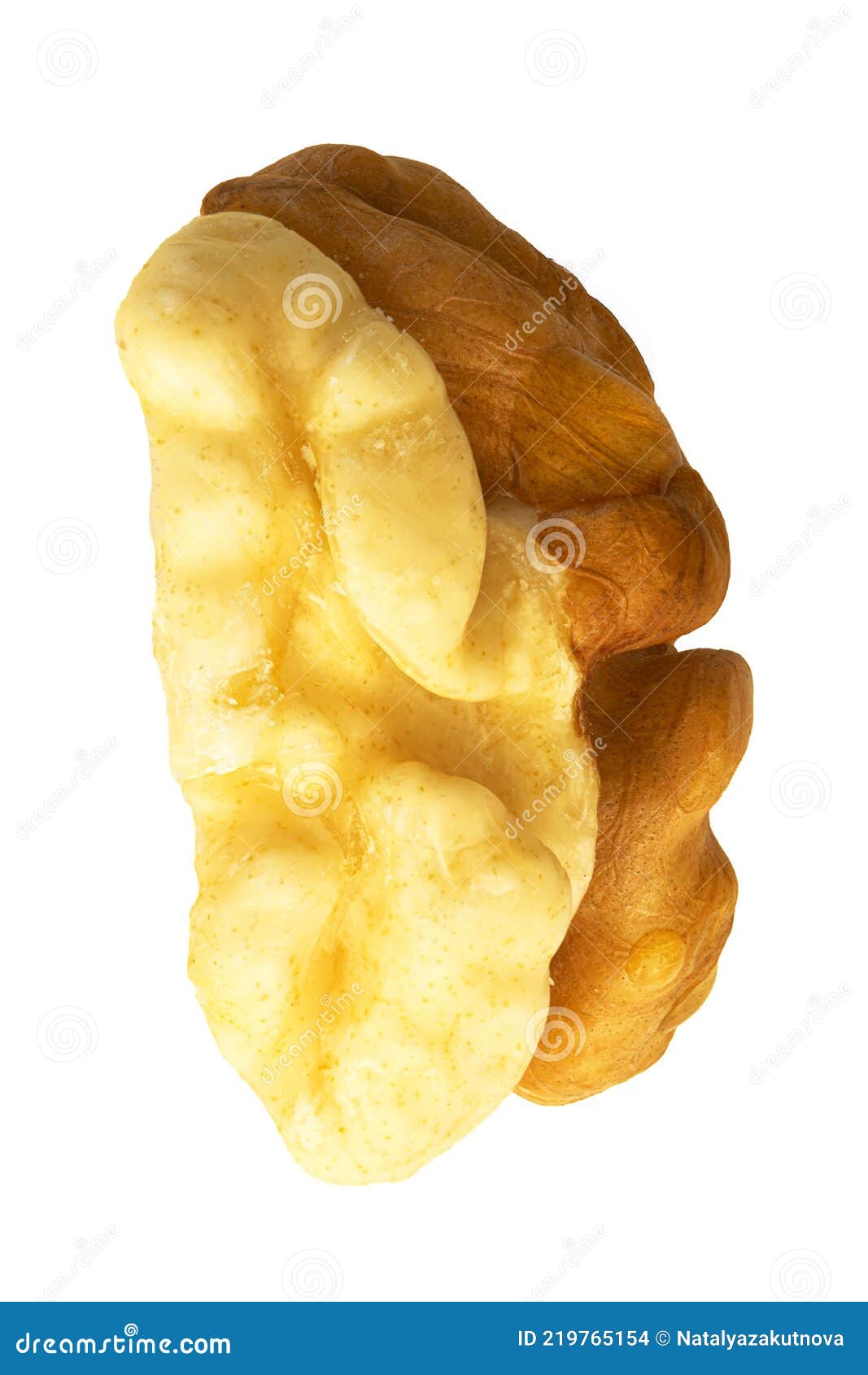 Walnut, Half Isolate, Nut, Isolated on White Background, Clipping Path ...