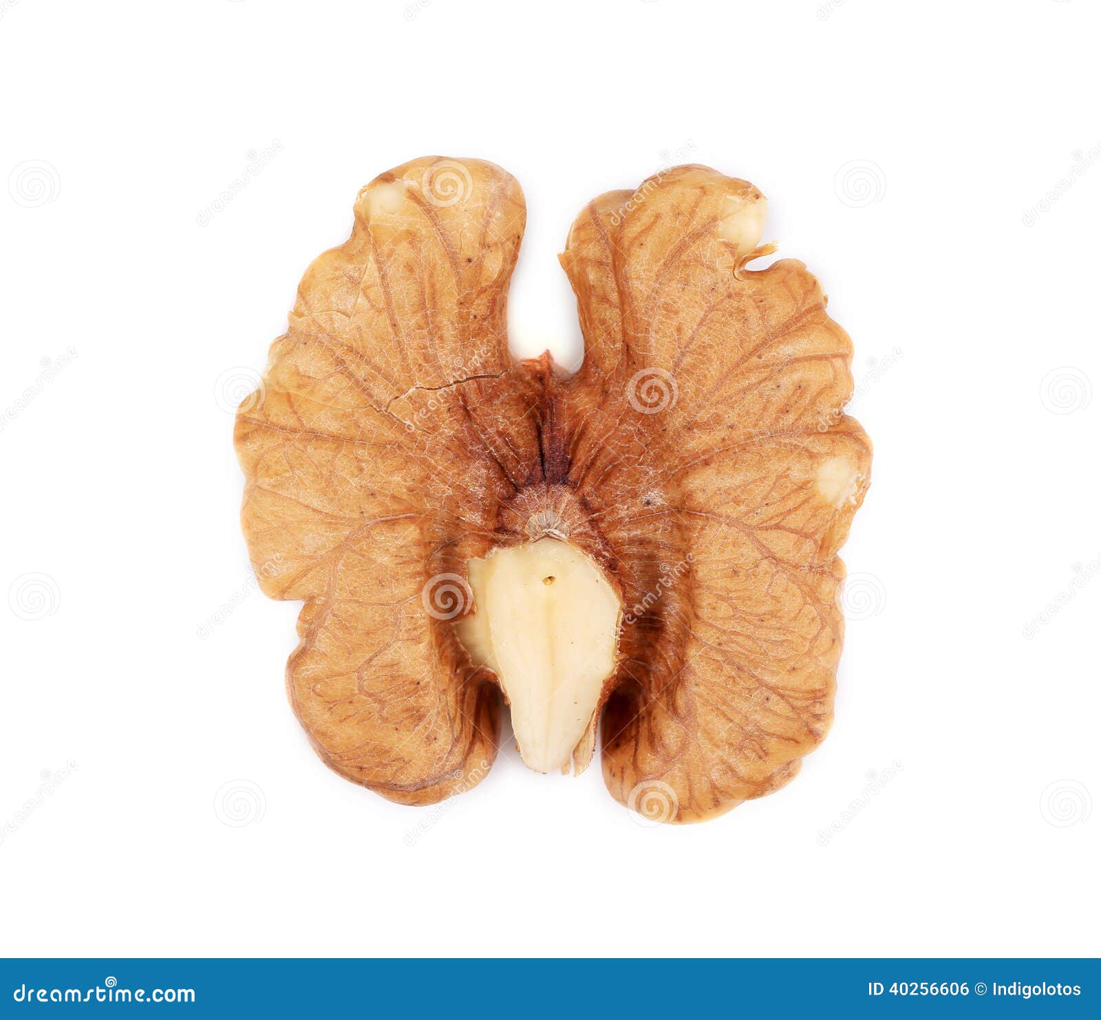 625 Half Walnut Core Macro Stock Photos - Free & Royalty-Free Stock ...