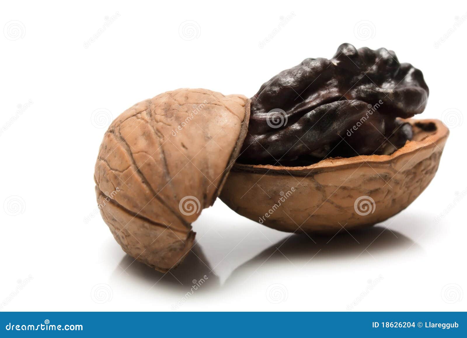 Walnut half shell stock photo. Image of snack, smash - 18626204