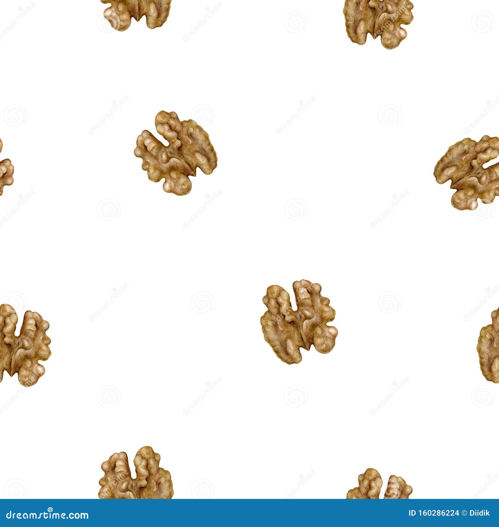 Walnut Hand Drawn Watercolor Illustration. Seamless Pattern. Stock ...