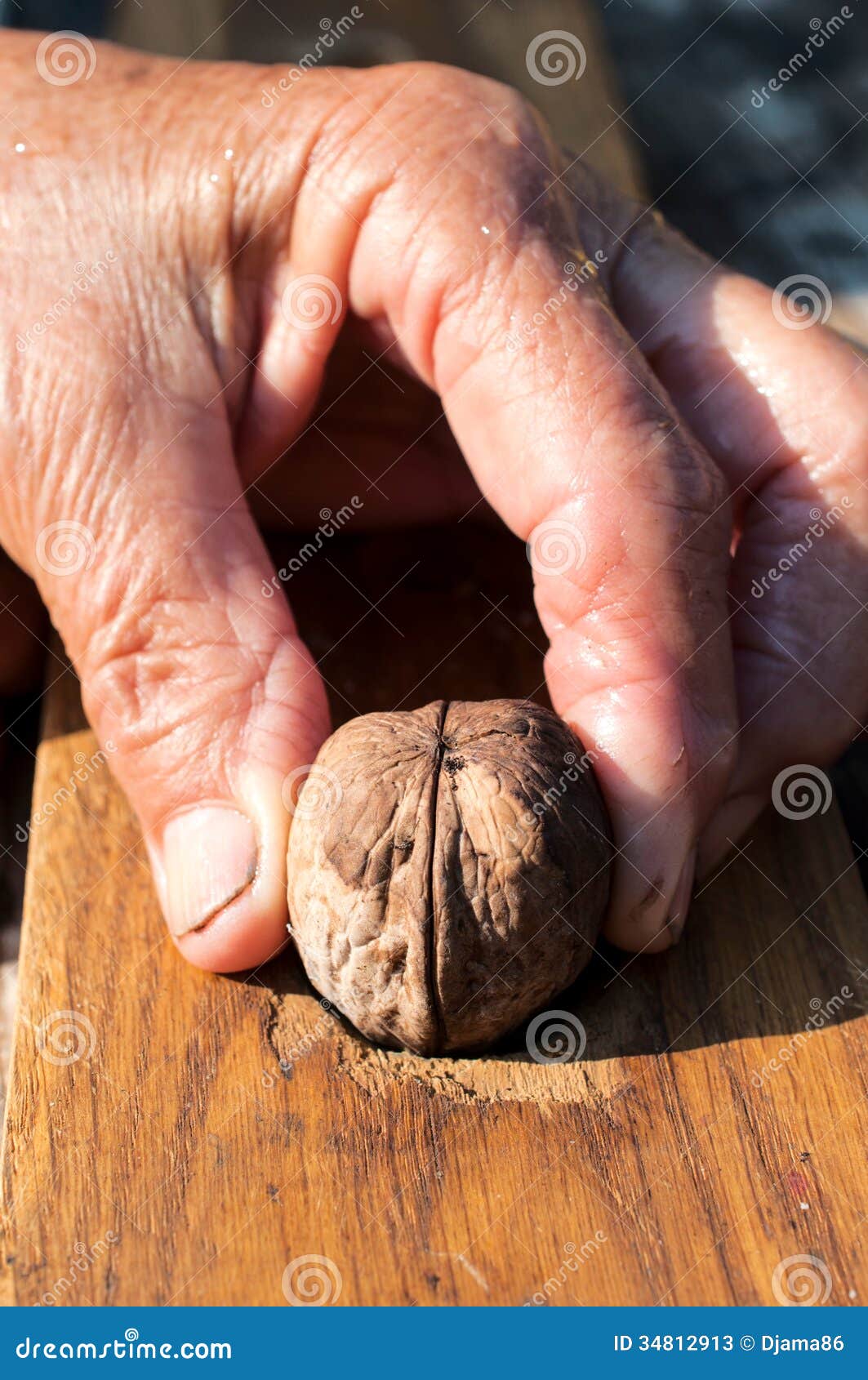 Walnut in hand stock image. Image of natural, open, arabian - 34812913