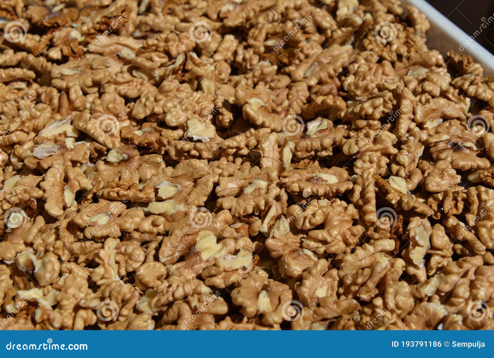 Peeled Walnut Kernels on a Tray Stock Photo - Image of delicious ...