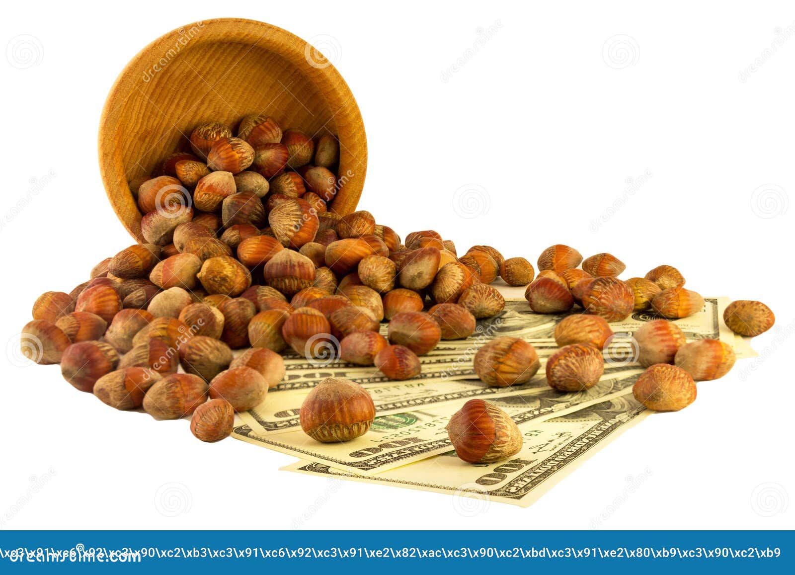 Walnut Hazelnut Isolate on a White Background. Nuts Hazel of a T Stock ...