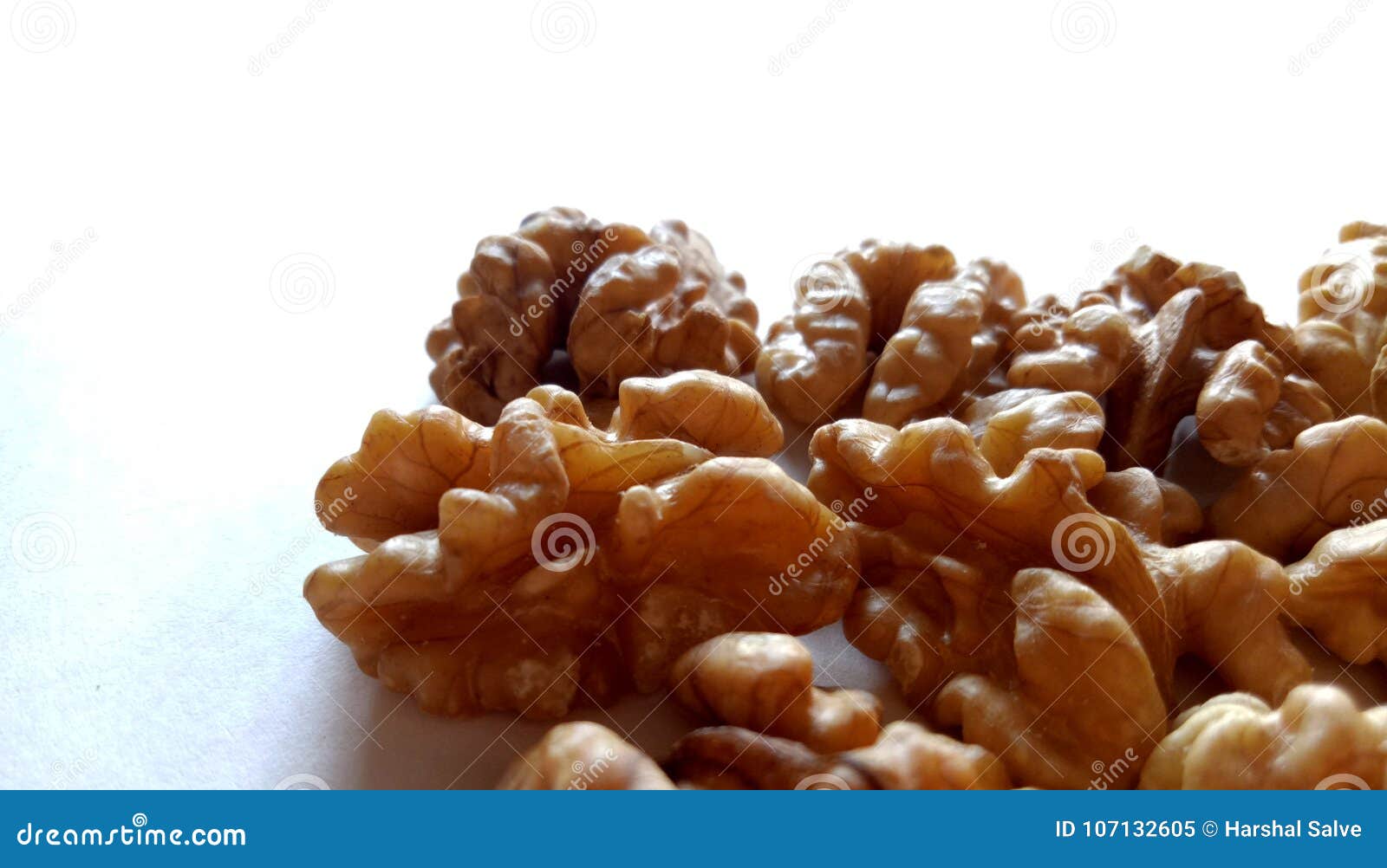 Walnut a Healthy and Nutritious Dry Fruit Stock Image - Image of acrota ...