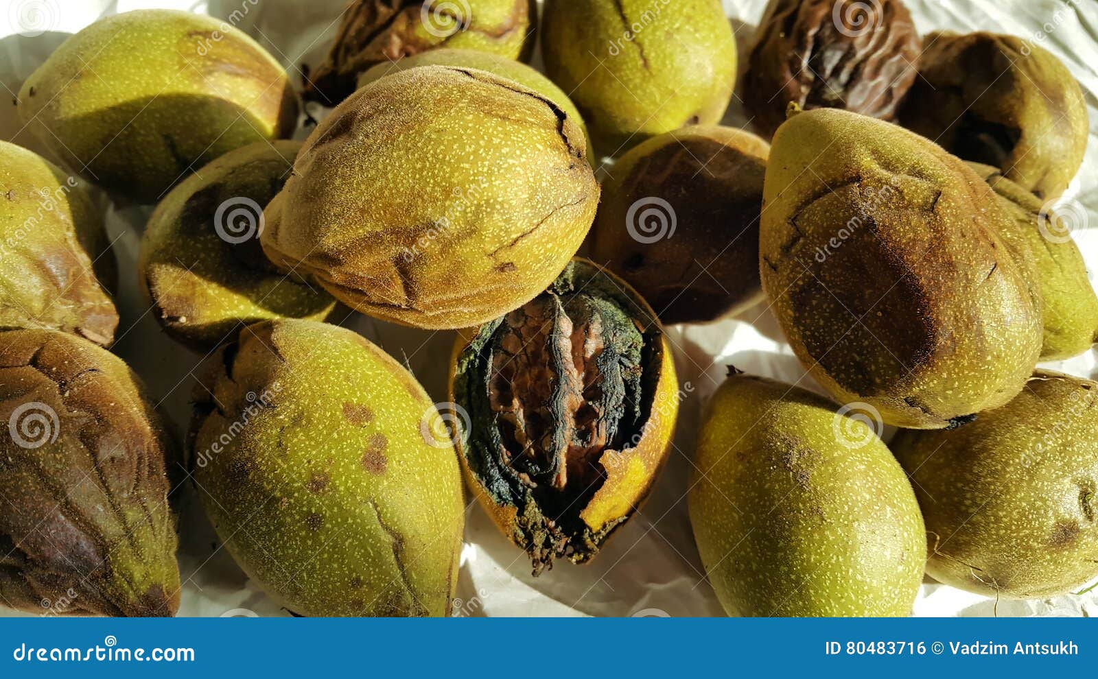 Walnut stock photo. Image of ripe, nature, cracked, group - 80483716