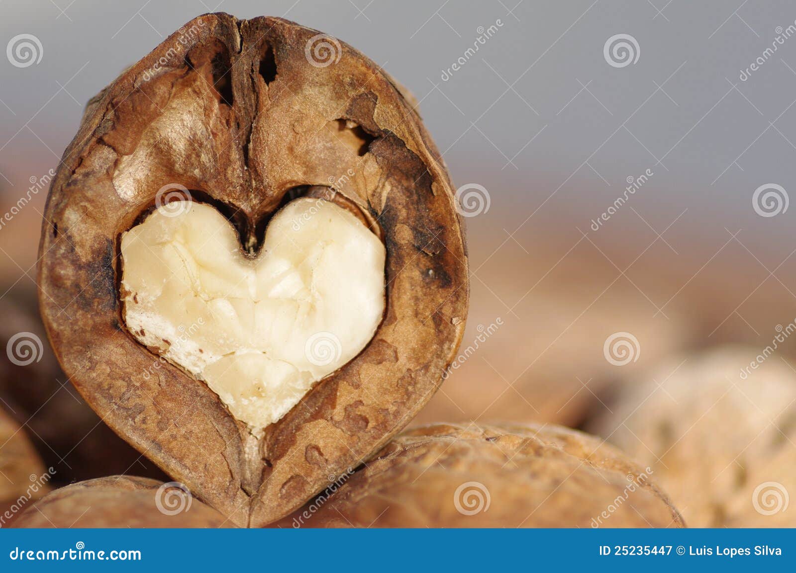 5,527 Walnut Core Stock Photos - Free & Royalty-Free Stock Photos from ...