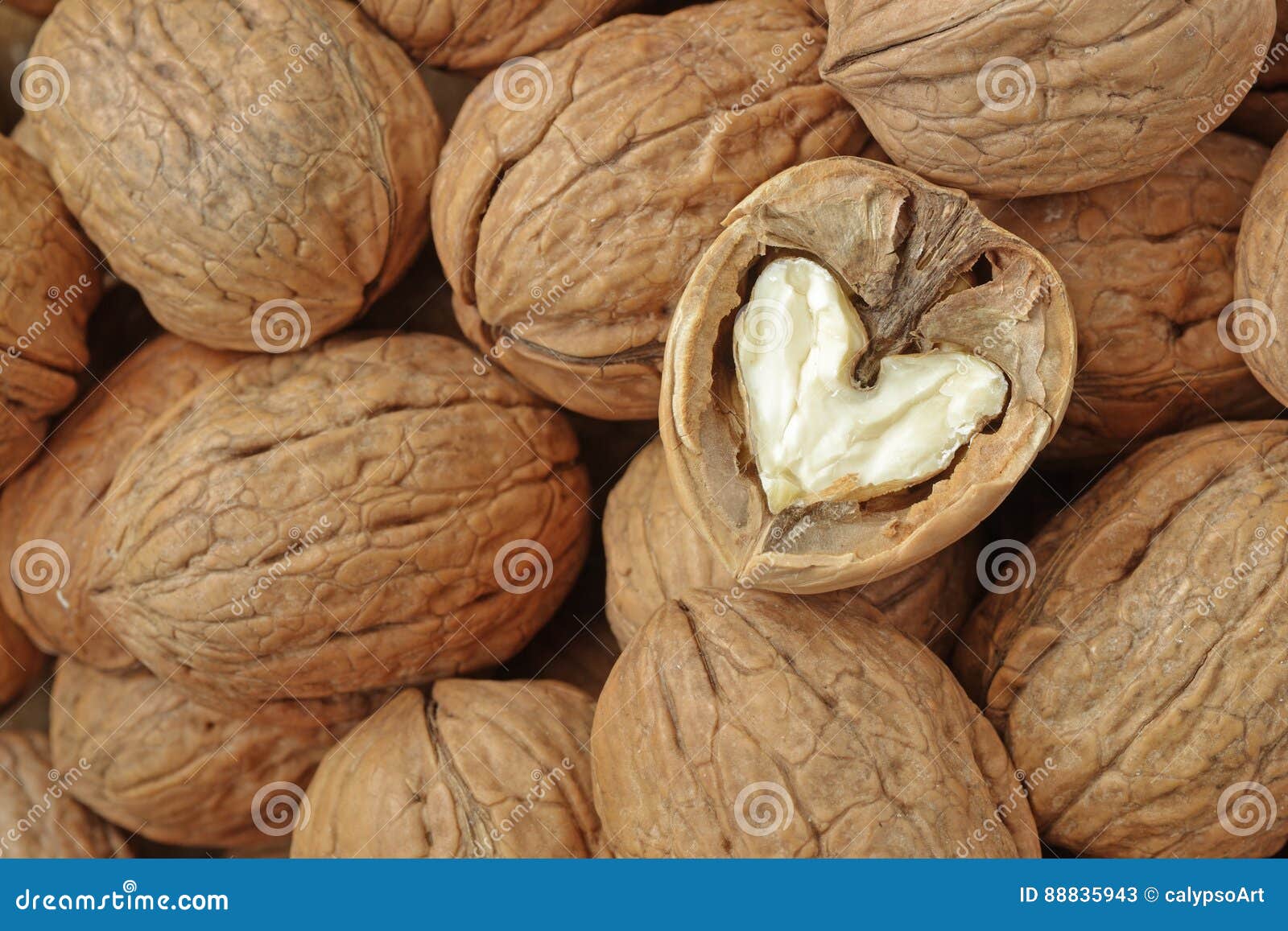 Walnut heart stock image. Image of nature, closeup, dried - 88835943
