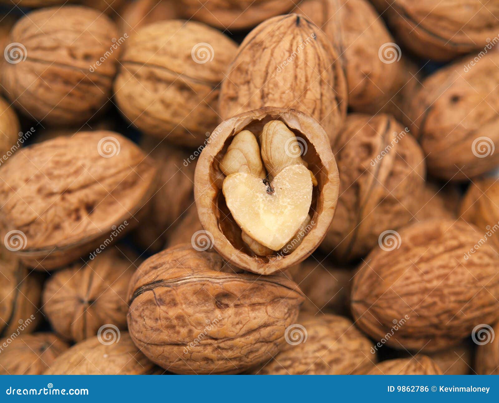 Walnut heart-shape stock photo. Image of natural, brown - 9862786