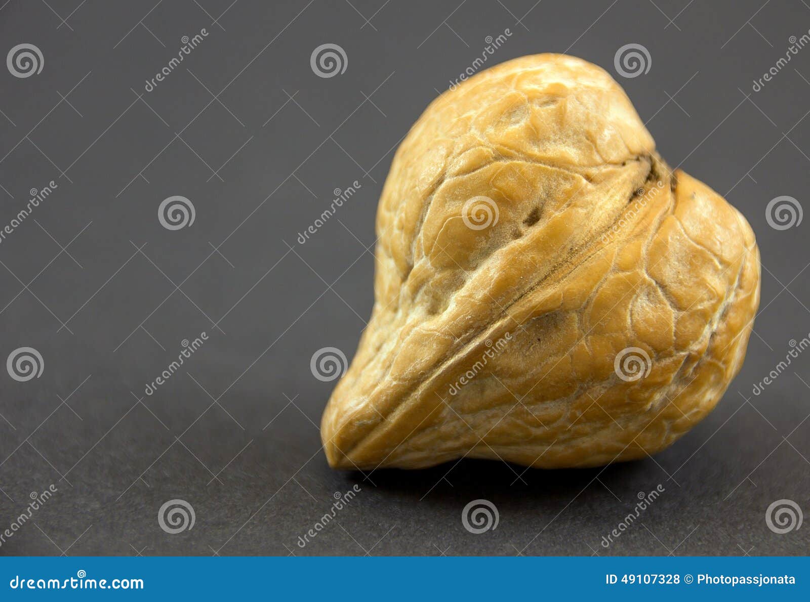 Walnut heart stock photo. Image of brain, symbol, feeling - 49107328