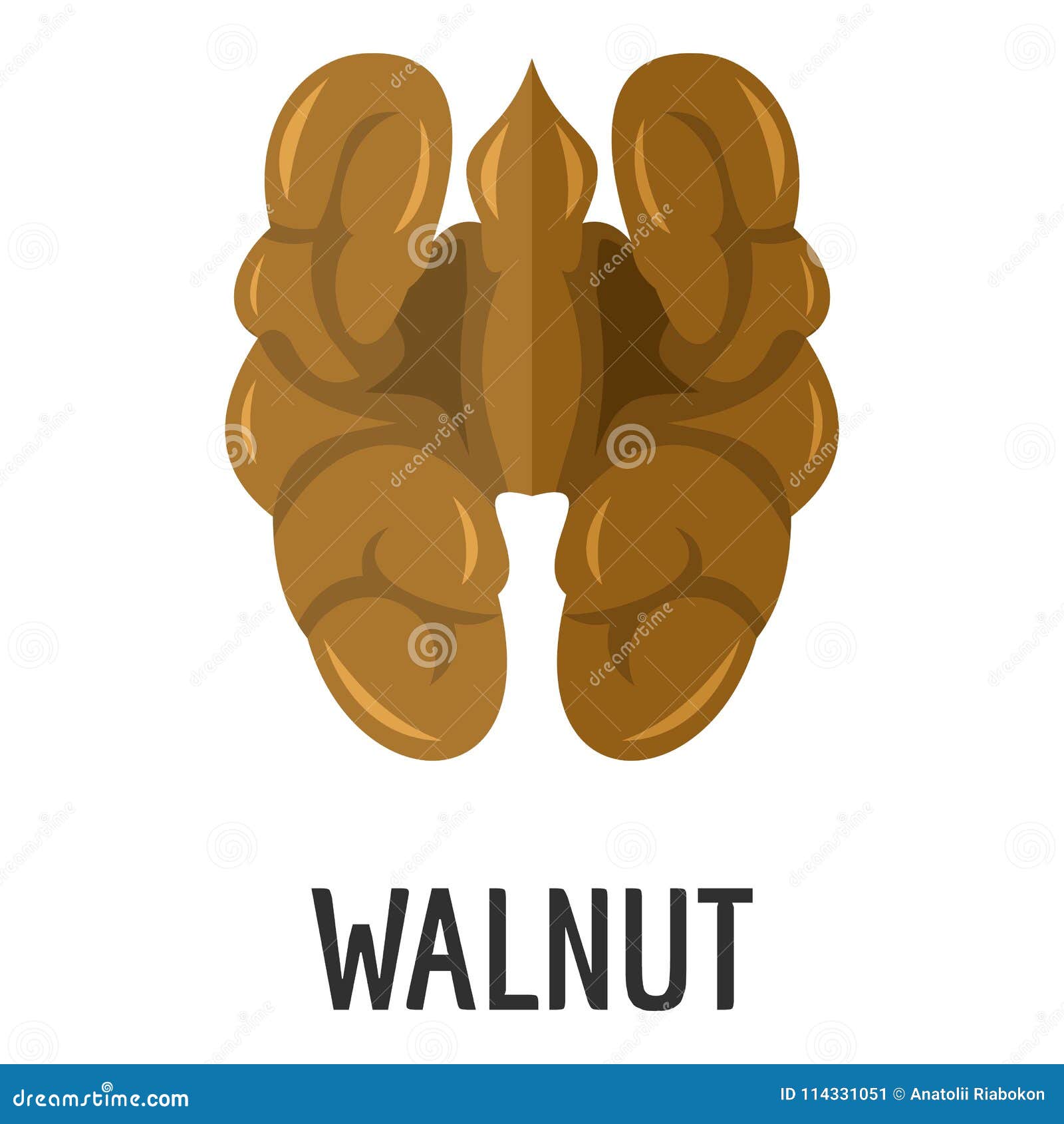 Walnut icon, flat style stock vector. Illustration of logo - 114331051