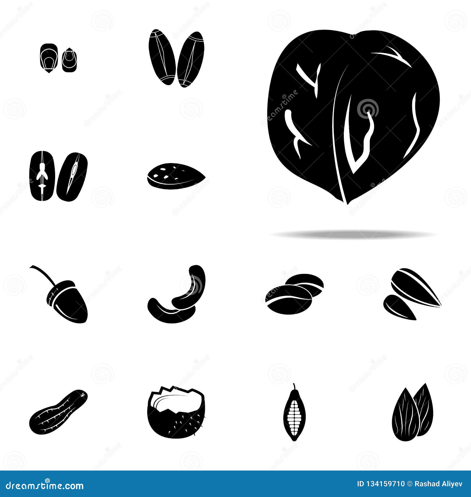 Walnut Icon. Nuts Icons Universal Set for Web and Mobile Stock ...
