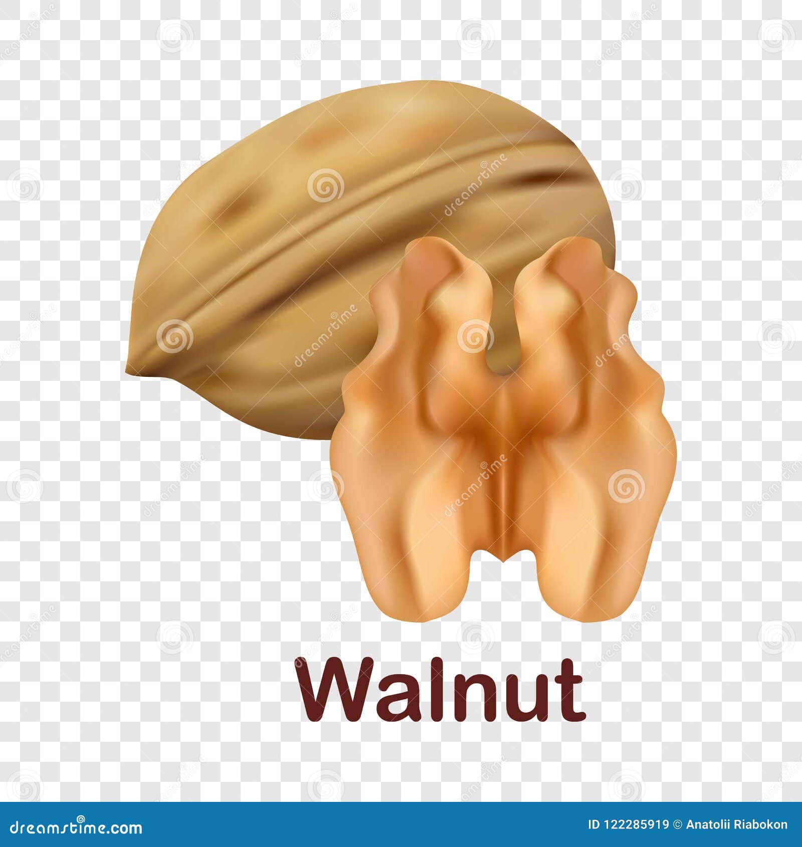 Walnut Icon, Realistic Style Stock Vector - Illustration of brown ...