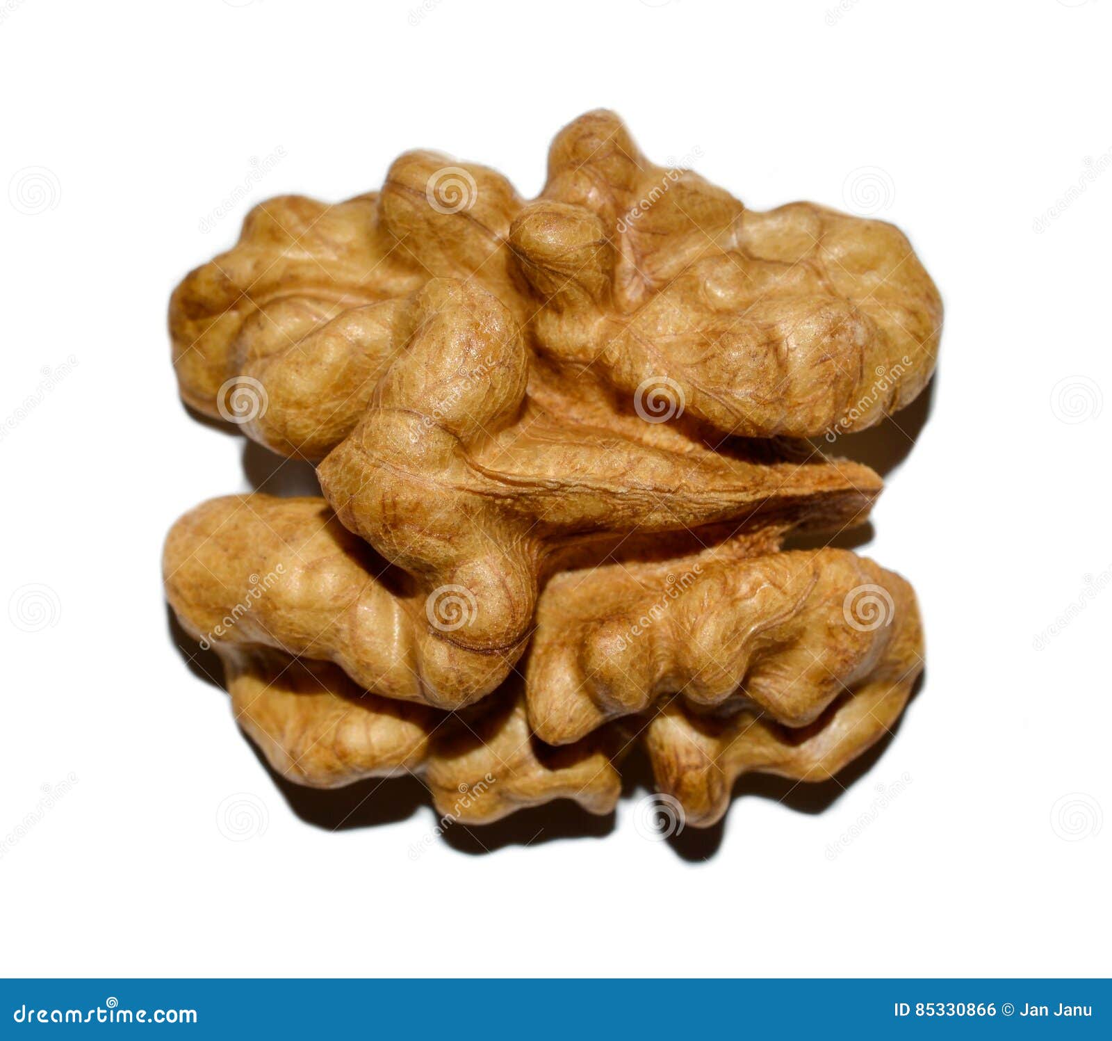 Walnut isolated stock photo. Image of nutrition, nutshell - 85330866