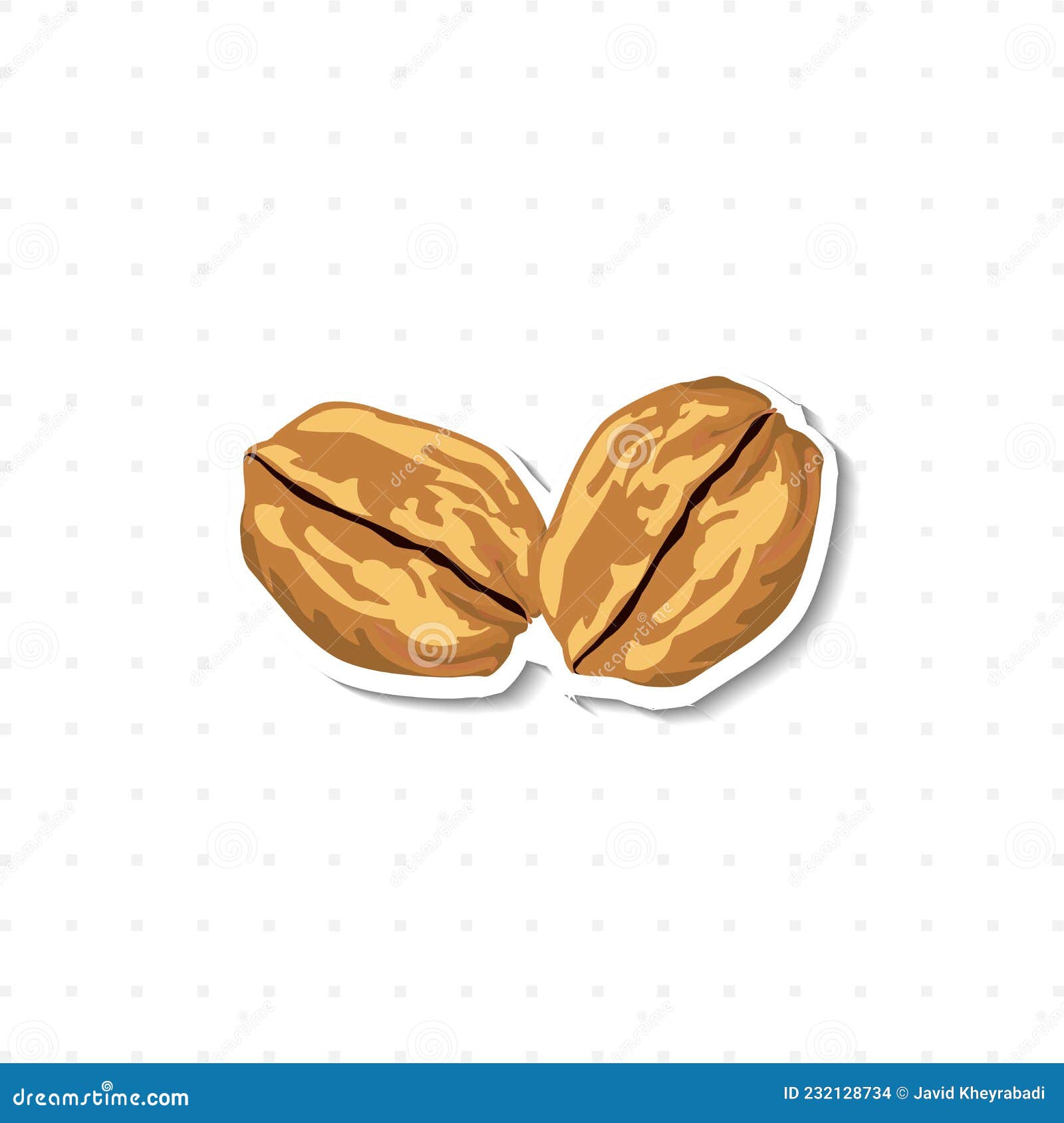 Walnut Illustration on White Background Stock Vector - Illustration of ...