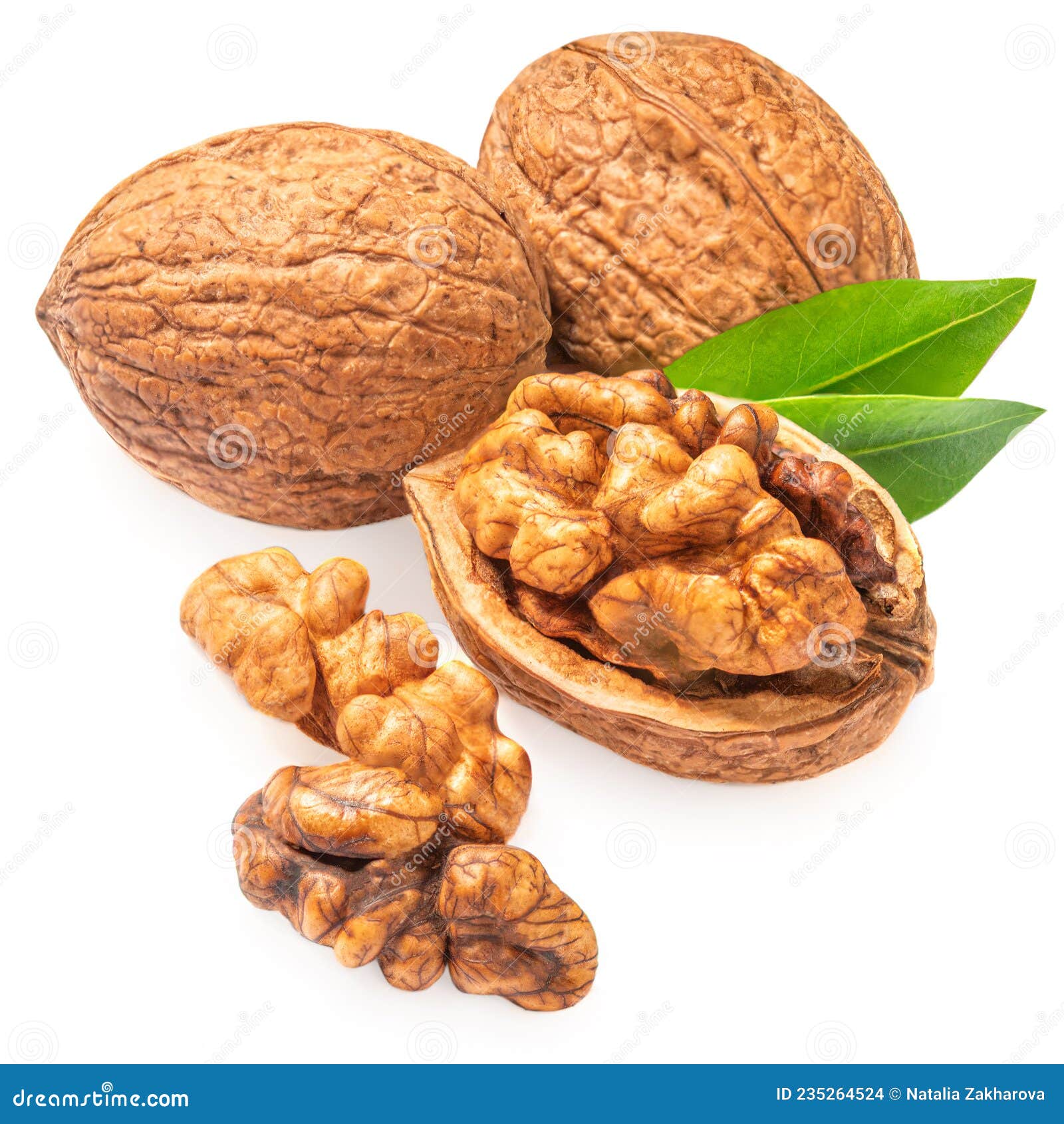Walnut Isolated. Walnut Kernel Nut with Green Leaves on White ...