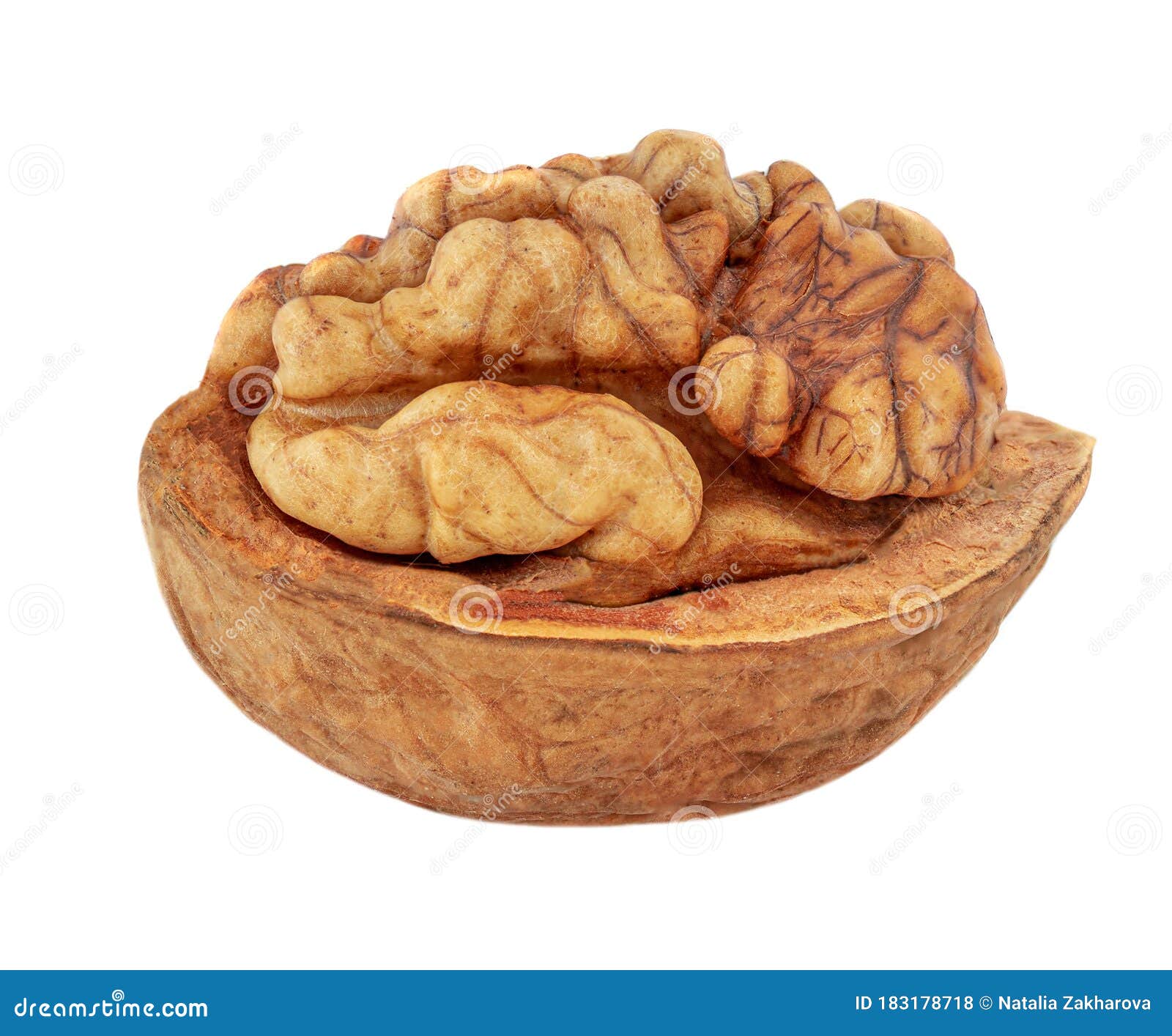 14,007 Walnut Kernel Isolated White Background Stock Photos - Free ...