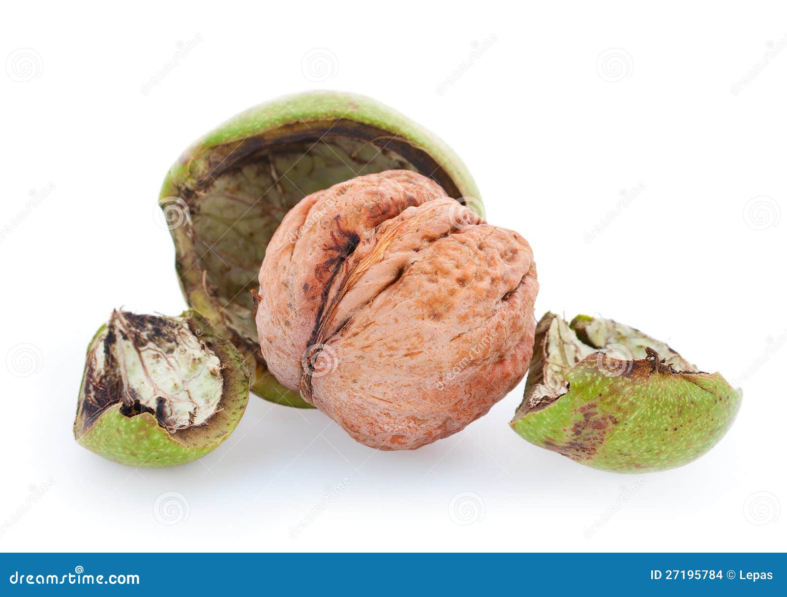 Walnut isolated on white stock photo. Image of ingredient - 27195784