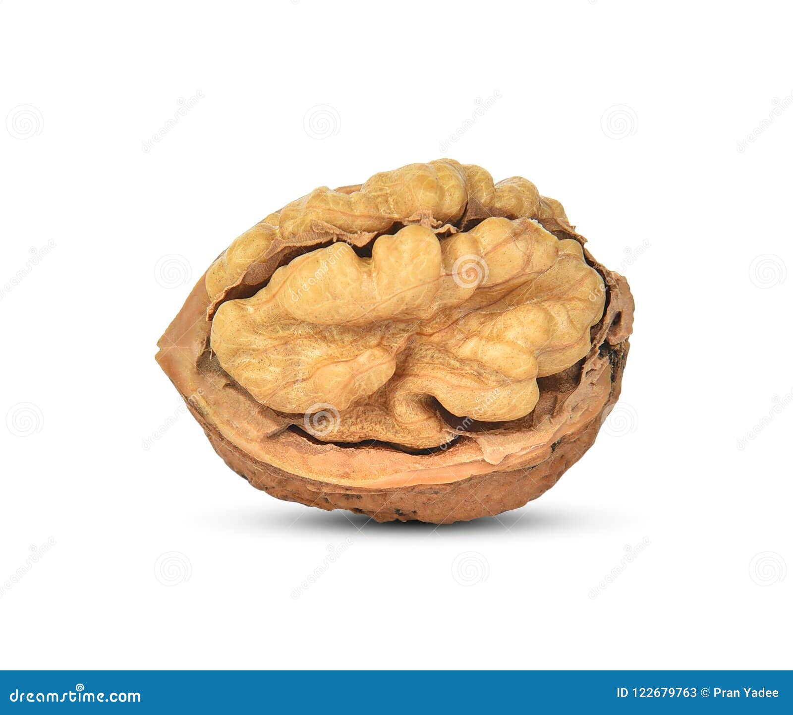 Walnut Isolated on White Background Stock Image - Image of group, hard ...