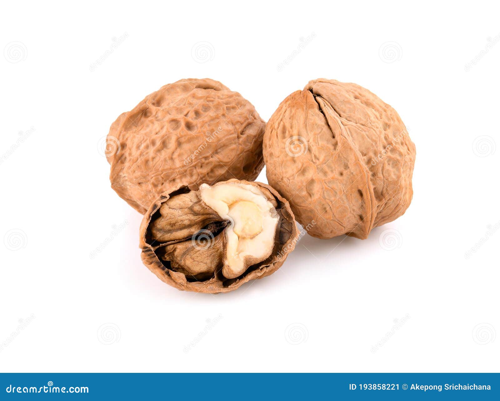 Walnut Isolated on a White Background Stock Image - Image of isolated ...
